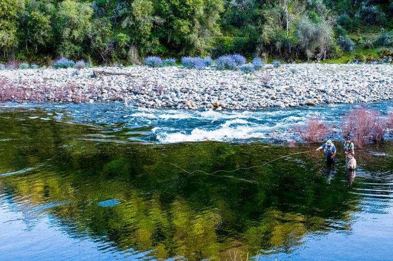 Kings River Fly Fishing Guide | Fly Fishing Kings River