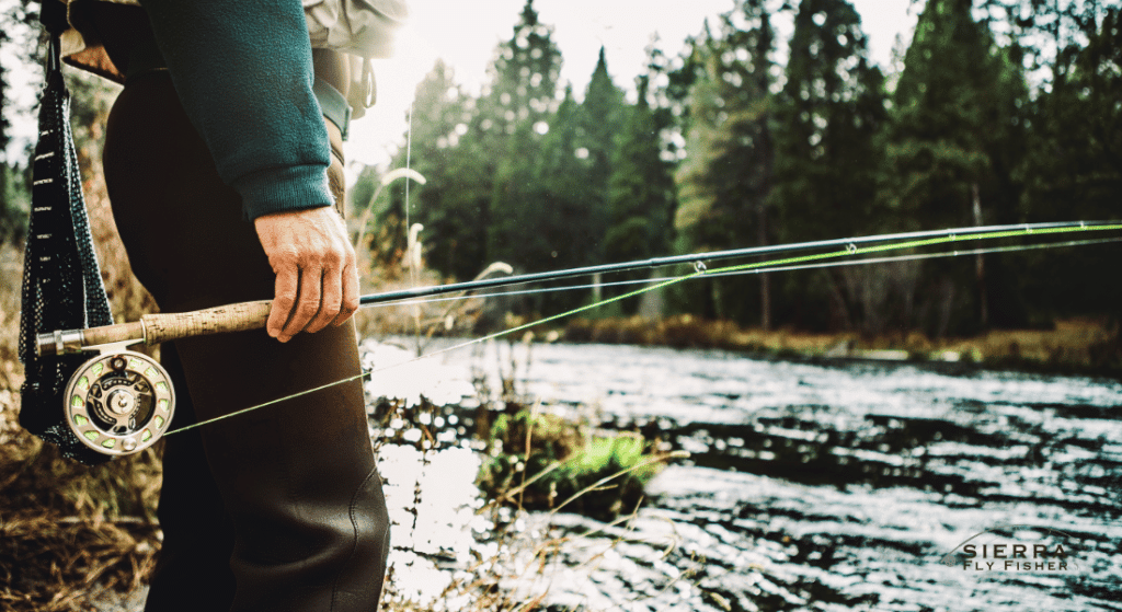 Streamer Fly Fishing BETTER [Definitive Guide]