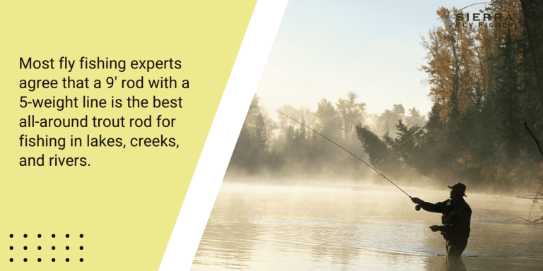 Fly Fishing Fundamentals & Basics [Beginner’s Guide]