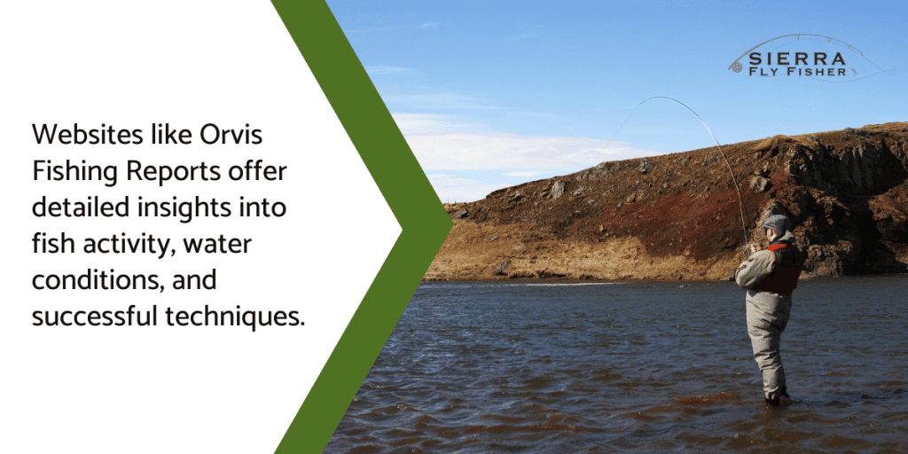 Fly Fishing Fundamentals & Basics [Beginner’s Guide]