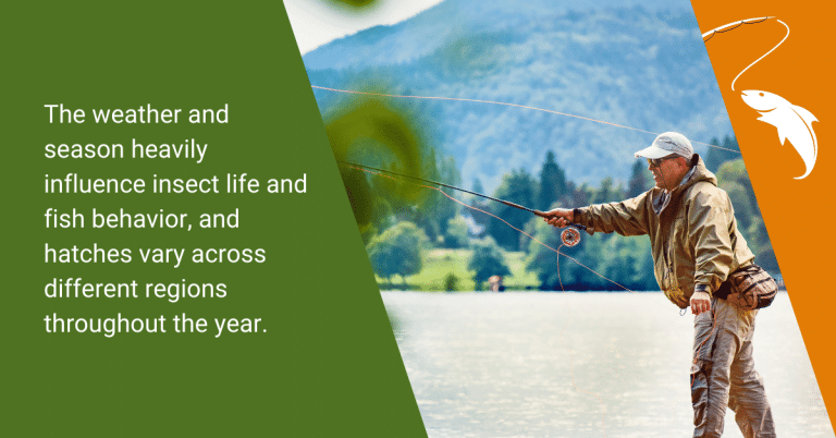 Match the Hatch BETTER: Expert Tips For Every Level