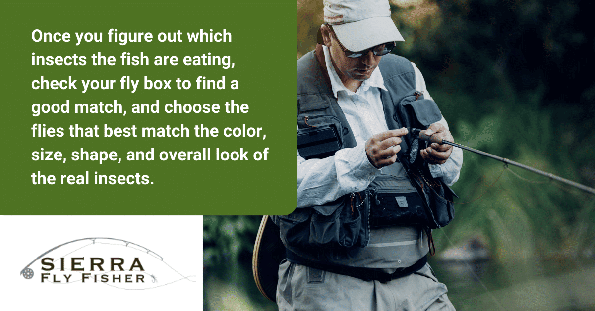 Match the Hatch BETTER: Expert Tips For Every Level