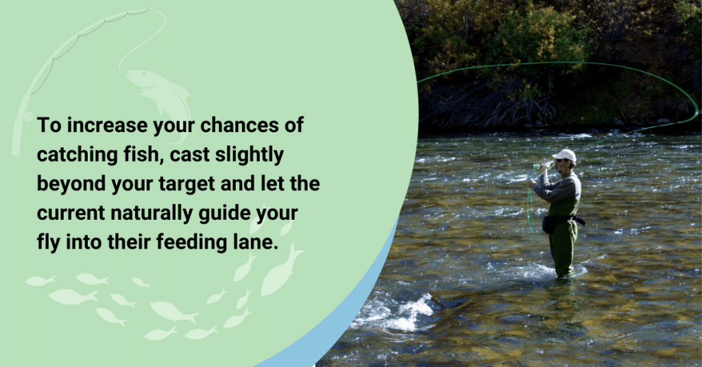 Match the Hatch BETTER: Expert Tips For Every Level