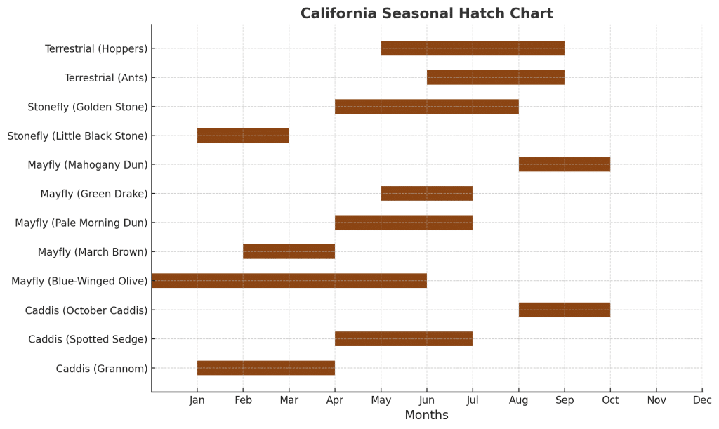 Match the Hatch BETTER: Expert Tips For Every Level