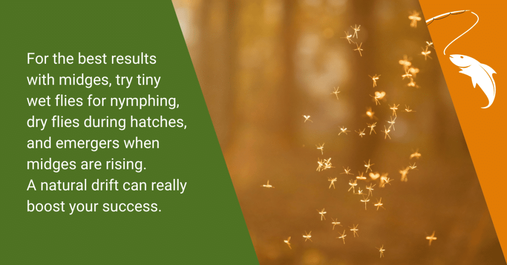 Top Midge Fly Patterns for Fly Fishing Midges | Sierra Fly Fisher