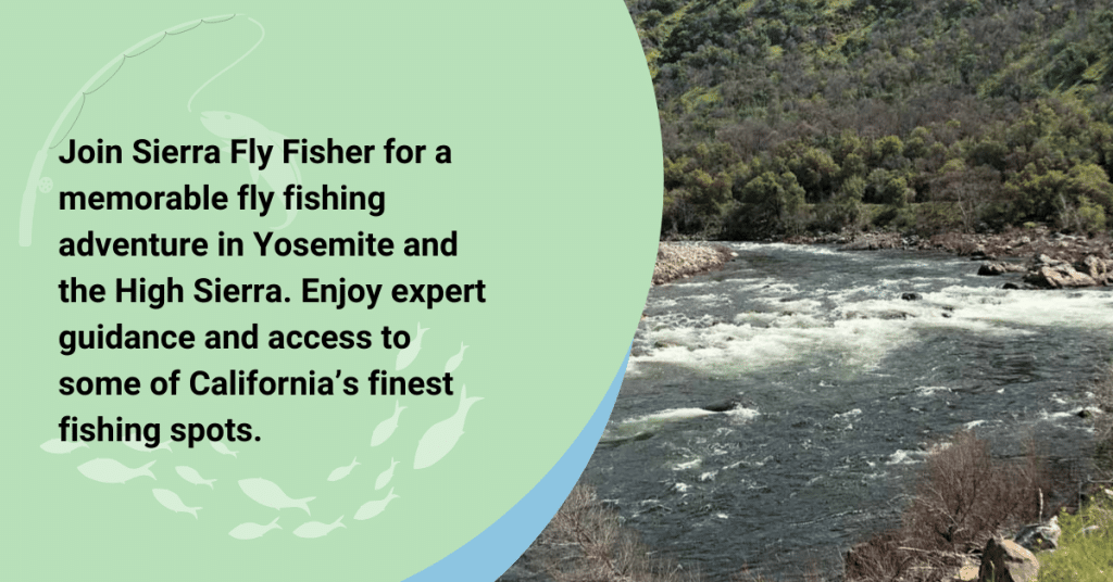 Top Midge Fly Patterns for Fly Fishing Midges | Sierra Fly Fisher