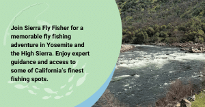 Top Midge Fly Patterns for Fly Fishing Midges | Sierra Fly Fisher