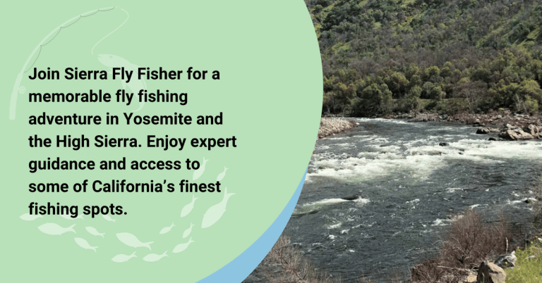 Top Midge Fly Patterns for Fly Fishing Midges | Sierra Fly Fisher