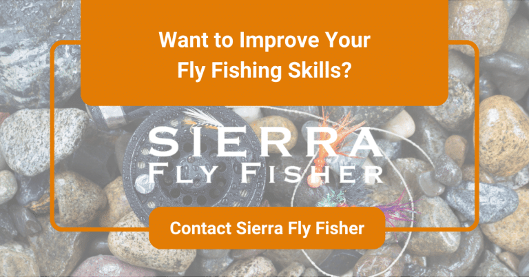 What Do Trout Eat? Fly Fishing Entomology | Sierra Fly Fisher