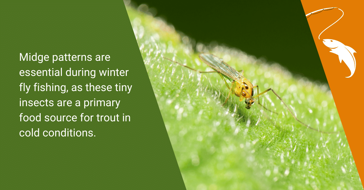 Winter Trout Flies: TOP Picks for Winter Trout Fishing