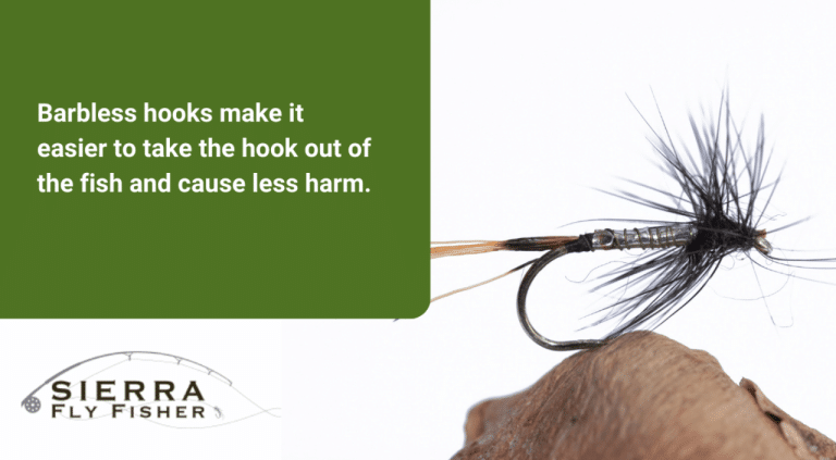 Fly Fishing Hook Sizes | Choose the Right Size, Every Time