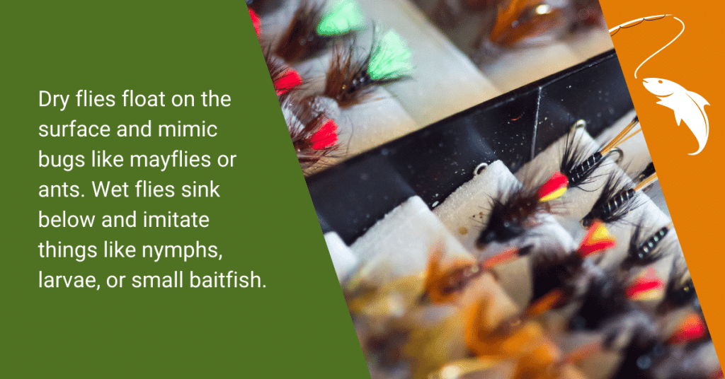 When to Use a Dry Fly vs a Wet Fly + Key Differences)