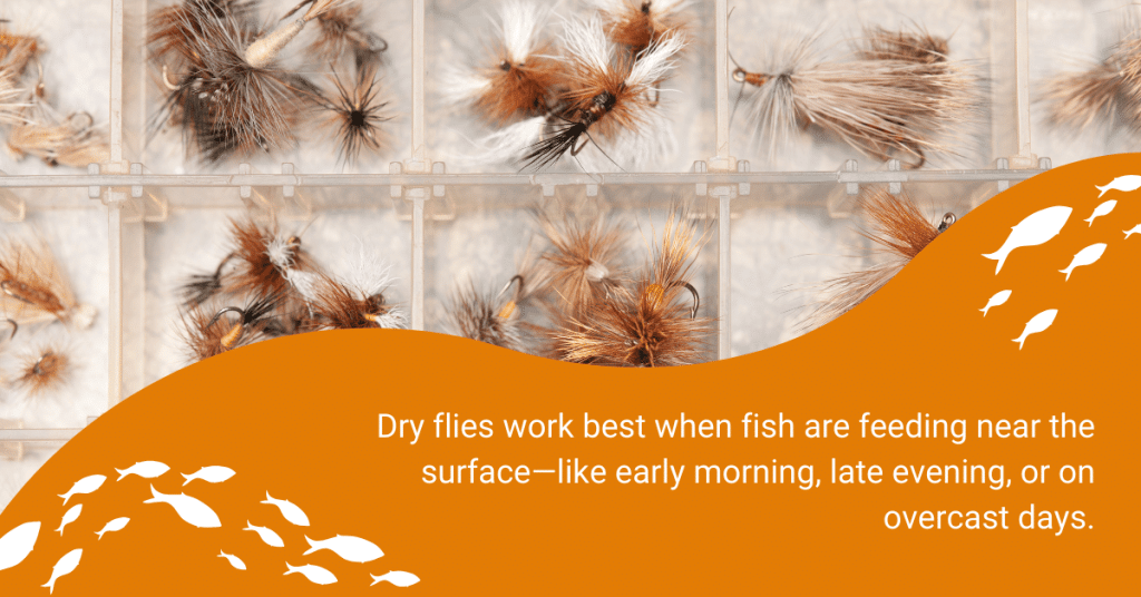 When to Use a Dry Fly vs a Wet Fly + Key Differences)