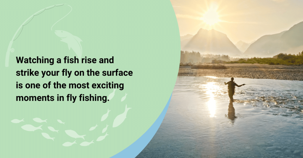 When to Use a Dry Fly vs a Wet Fly + Key Differences)