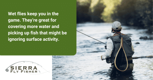 When to Use a Dry Fly vs a Wet Fly + Key Differences)