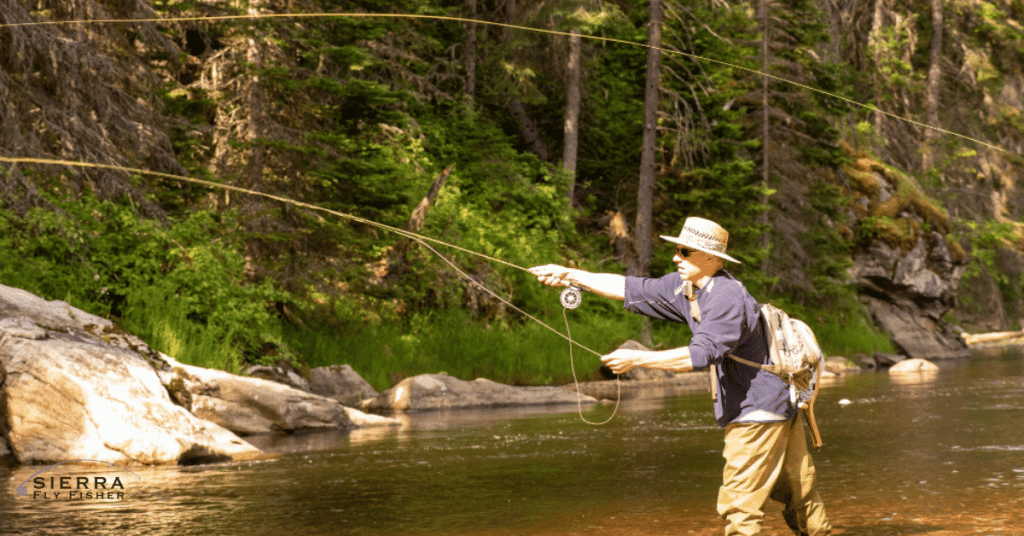 When to Use a Dry Fly vs a Wet Fly + Key Differences)